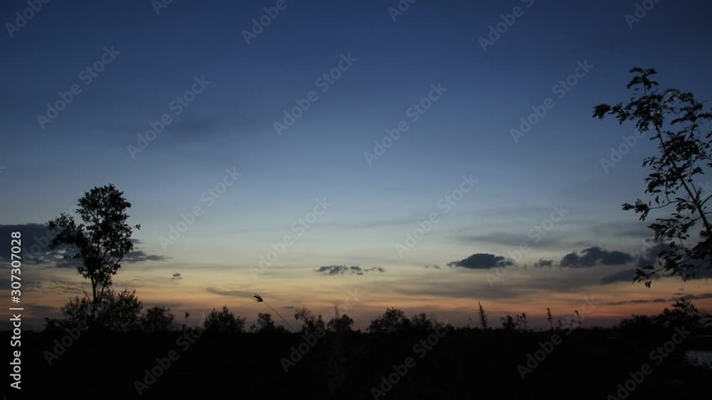 Cinematic twilight scenery of grass and trees silhouettes against the ...