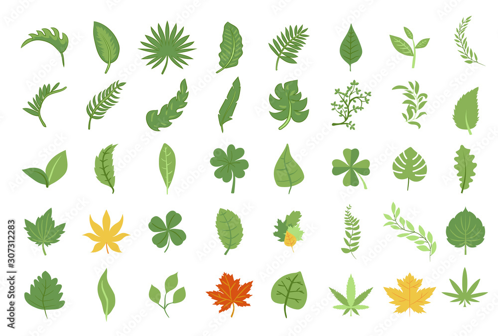 leaf vector set collection graphic design Stock Vector | Adobe Stock
