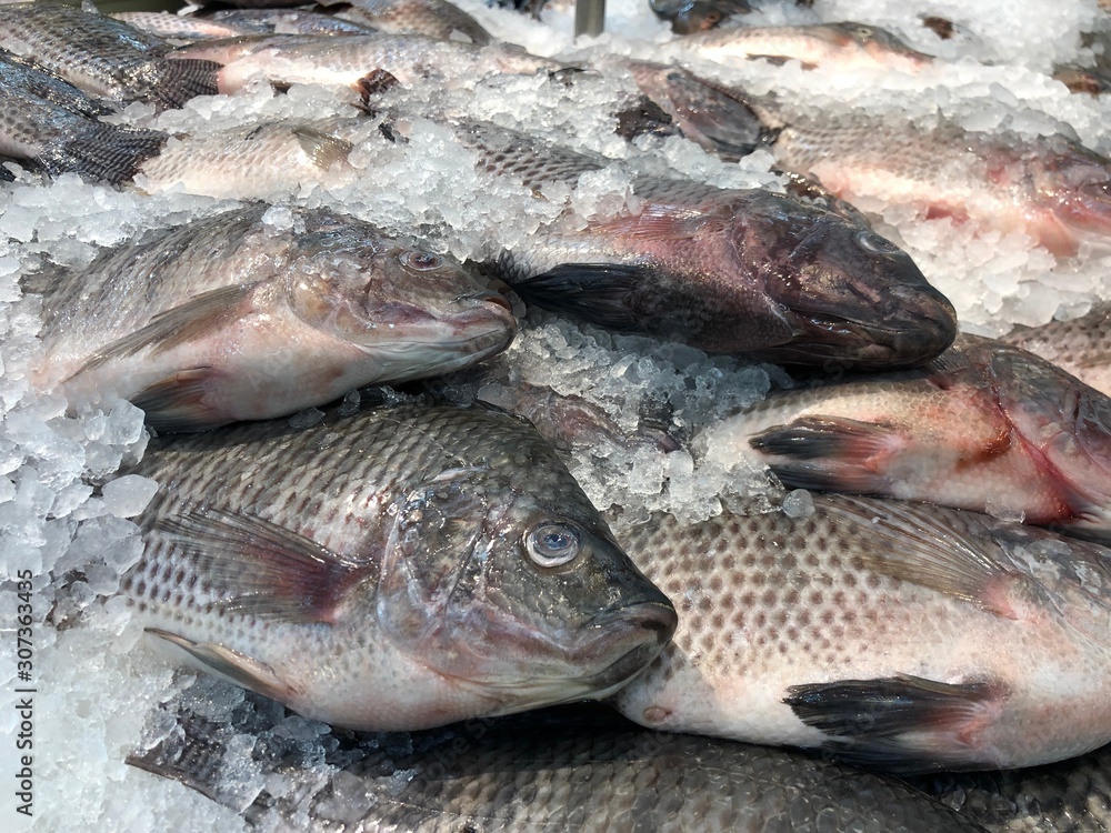 Medium close up of fresh tilapia fish in the wet market section Stock ...