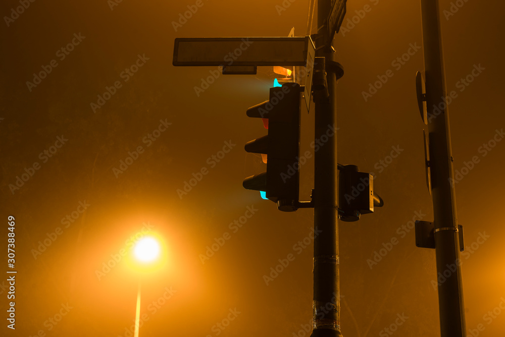 Traffic light at night, Traffic light and foggy night, A blank sign for ...