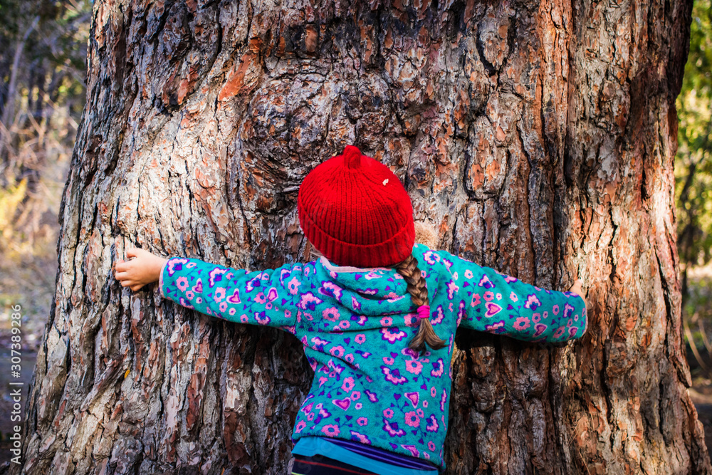 Little young girl in red hat hugs old-growth giant relic tree in forest ...