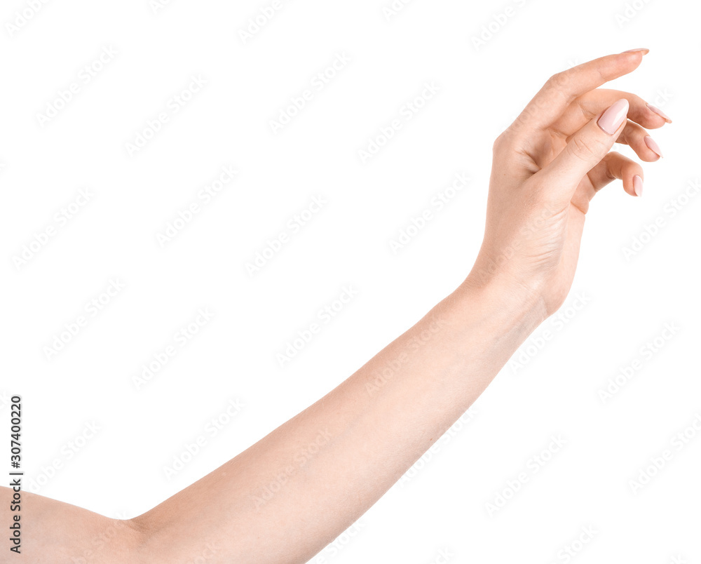 Female caucasian hands isolated white background showing gesture holds ...