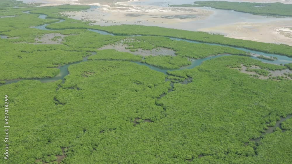 Video „Senegal Mangroves. Aerial view of mangrove forest in the Saloum ...