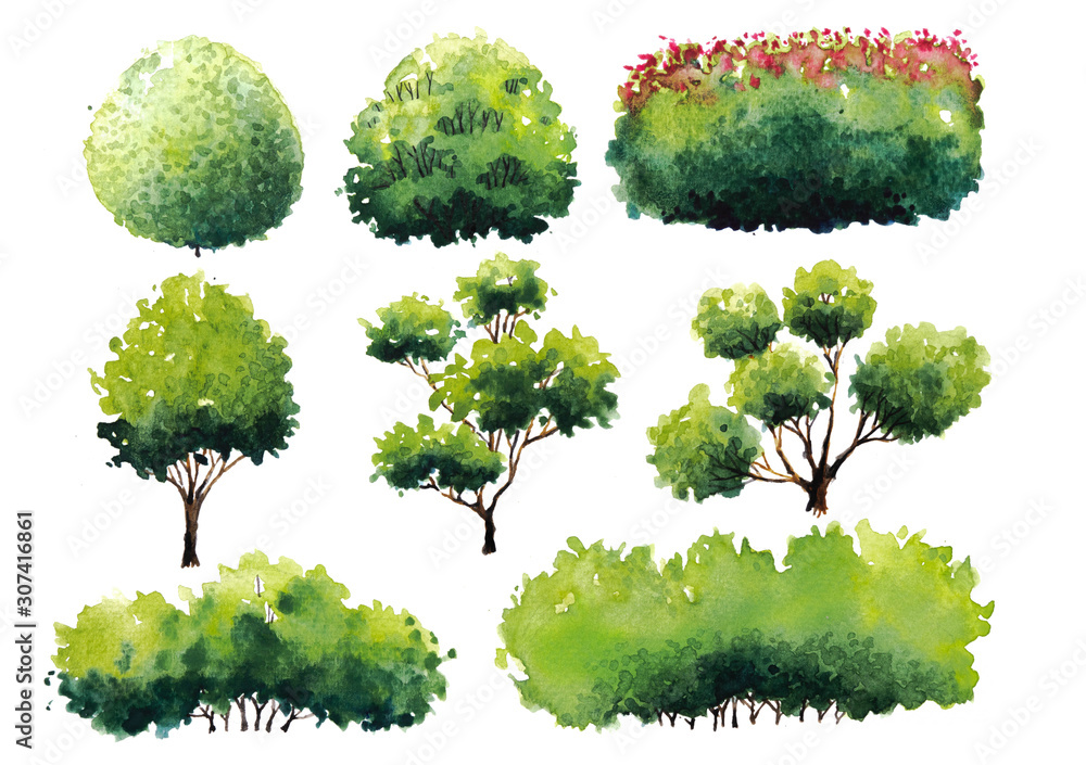 Collection plant shrub symbols of Landscape architect for decorate ...