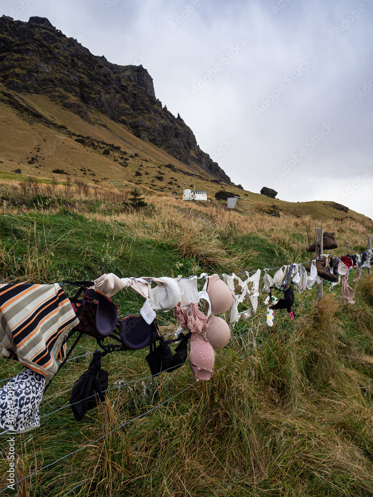 The bra fence, a new attraction on a road trip between Skógafoss ...