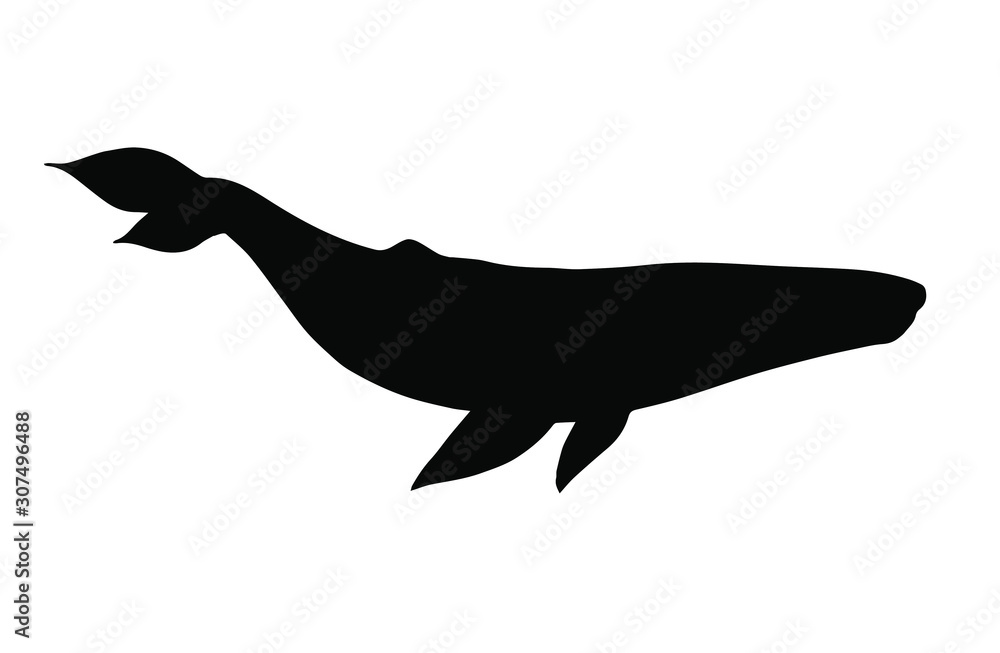 Vector black blue whale silhouette isolated on white background Stock ...