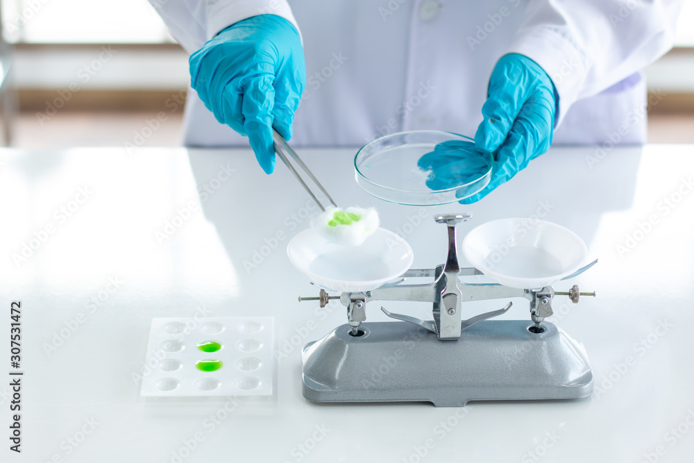 scientist wearing lab coat and gloves taking a sample in laboratory ...