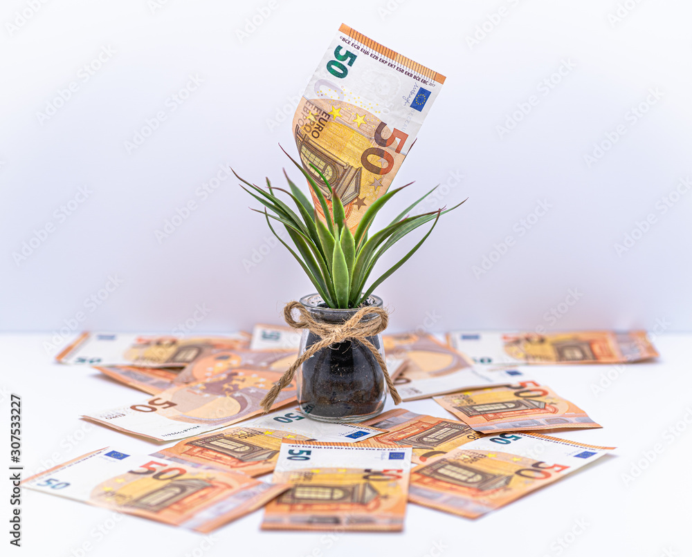 Euros cash notes as a money tree concept in a jar. Stock Photo | Adobe ...