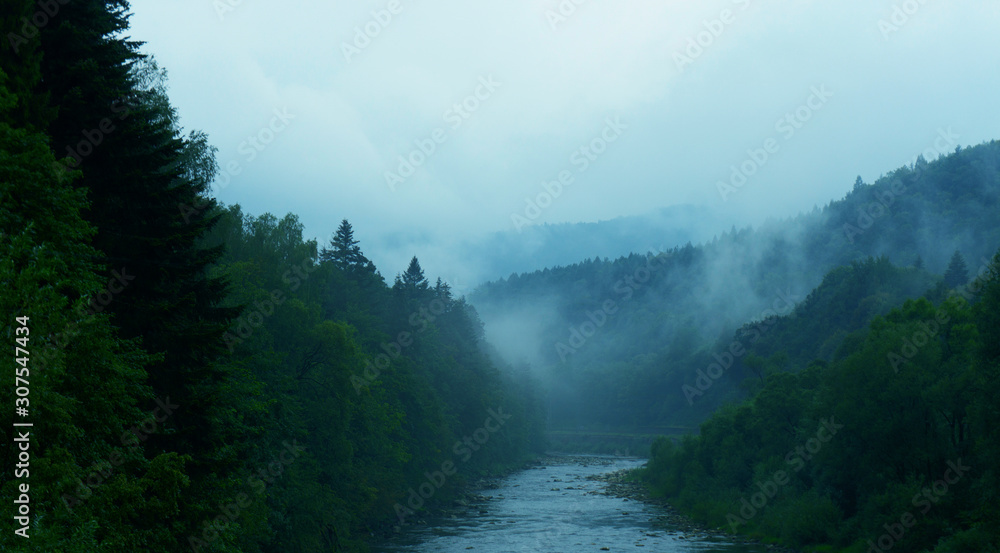 Landscape with forest and river in retro classic style. Healthy trees ...