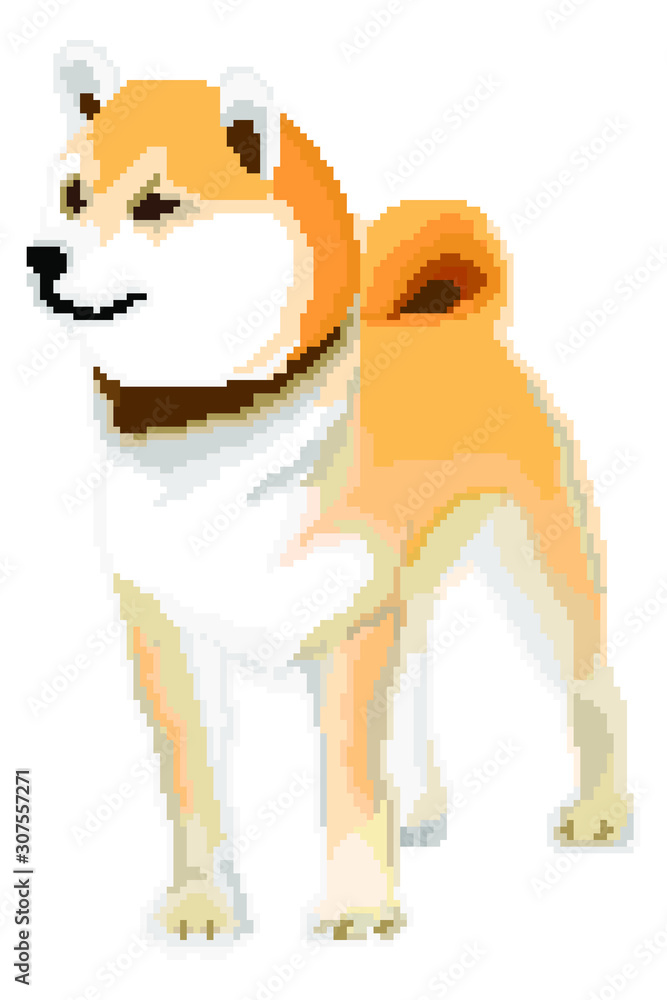 Vector pixel art Shiba Inu dog isolated on white background. Stock ...