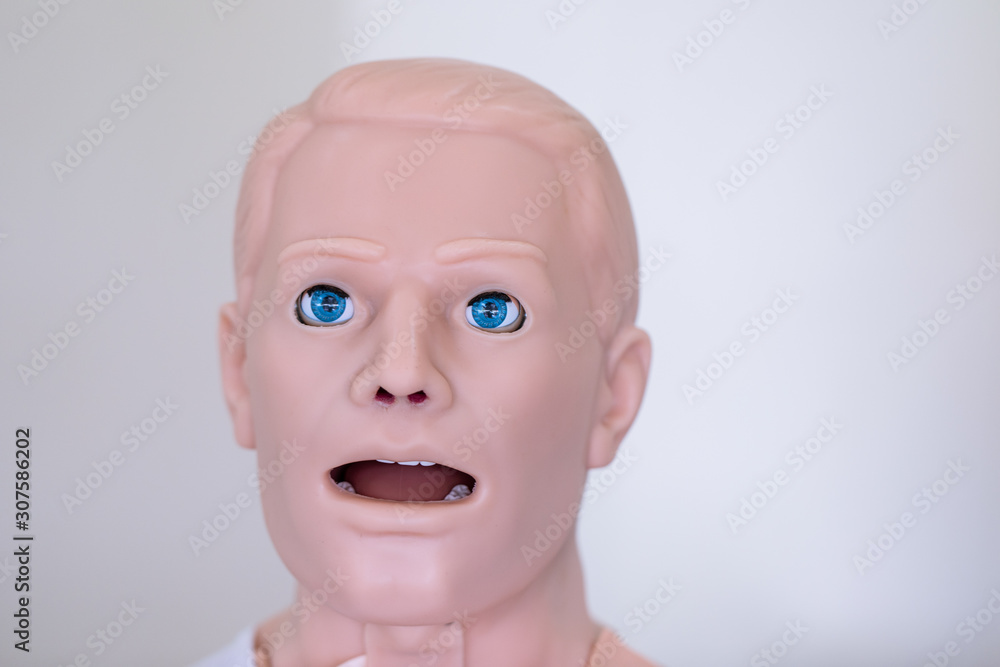 Study of the physiology of the Model and the parts of the human Model ...