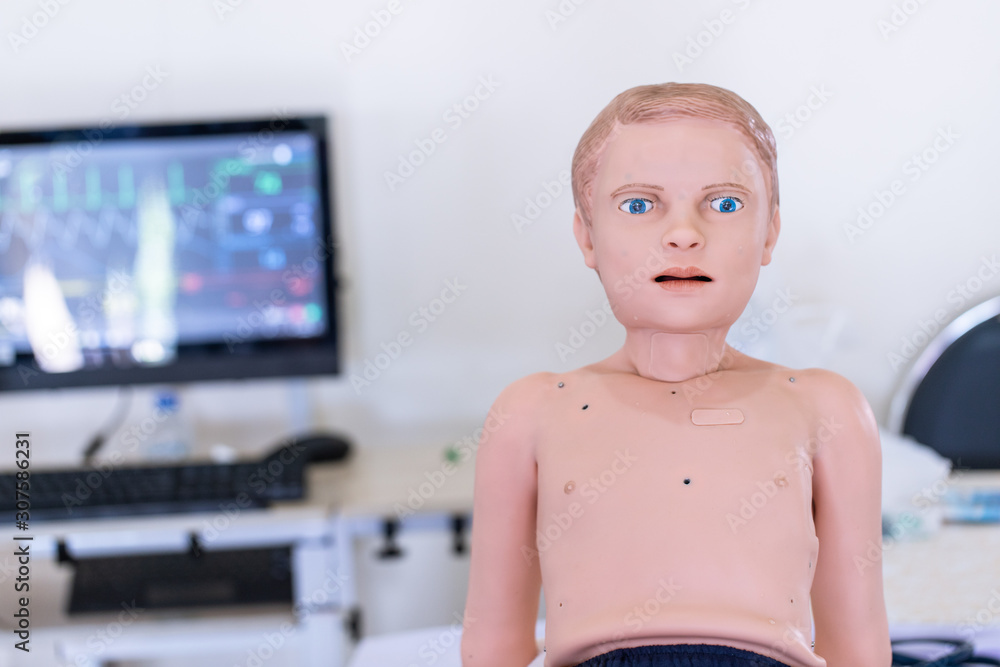 Study of the physiology of the Model and the parts of the human Model ...