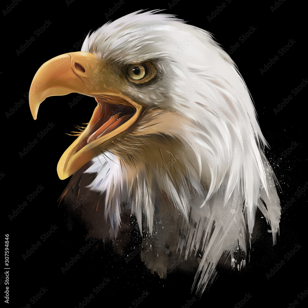 The American bald eagle, head. Watercolor drawing Stock Illustration ...