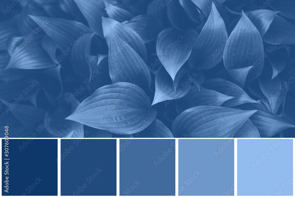 Color palette with nature textures, leaves inspired by trendy blue ...