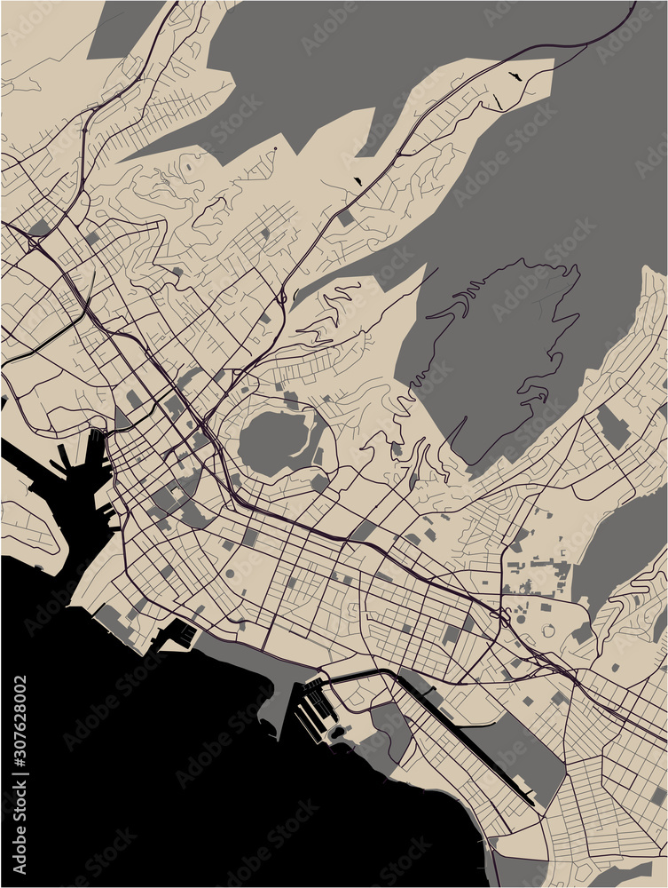 map of the city of Honolulu, Hawaii, USA Stock Vector | Adobe Stock