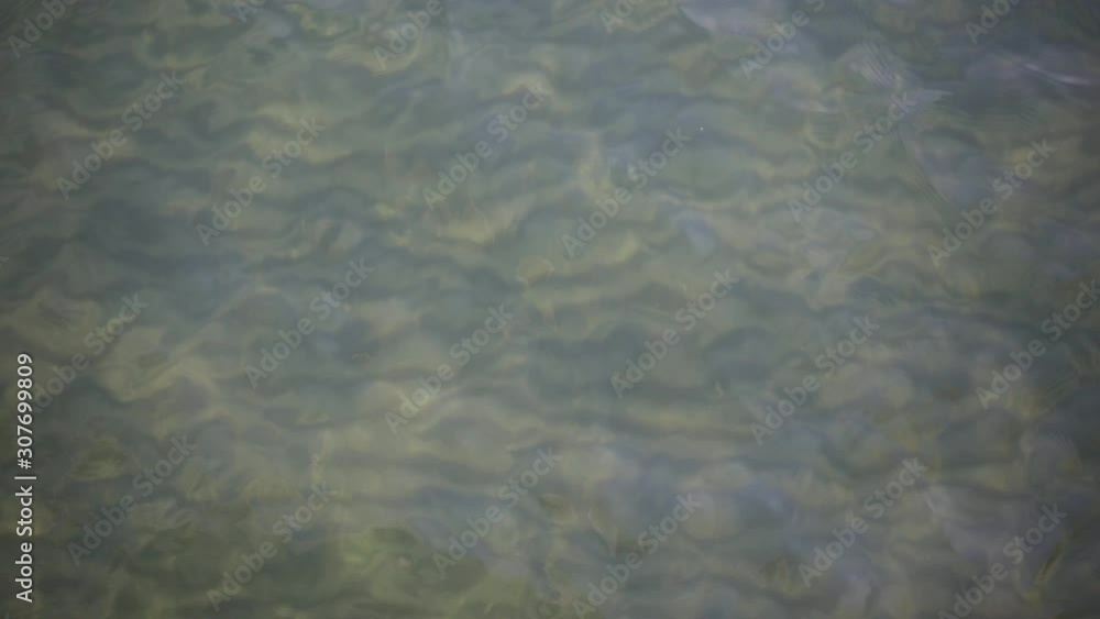 Beautiful blue sea water natural video background. Real time full hd ...