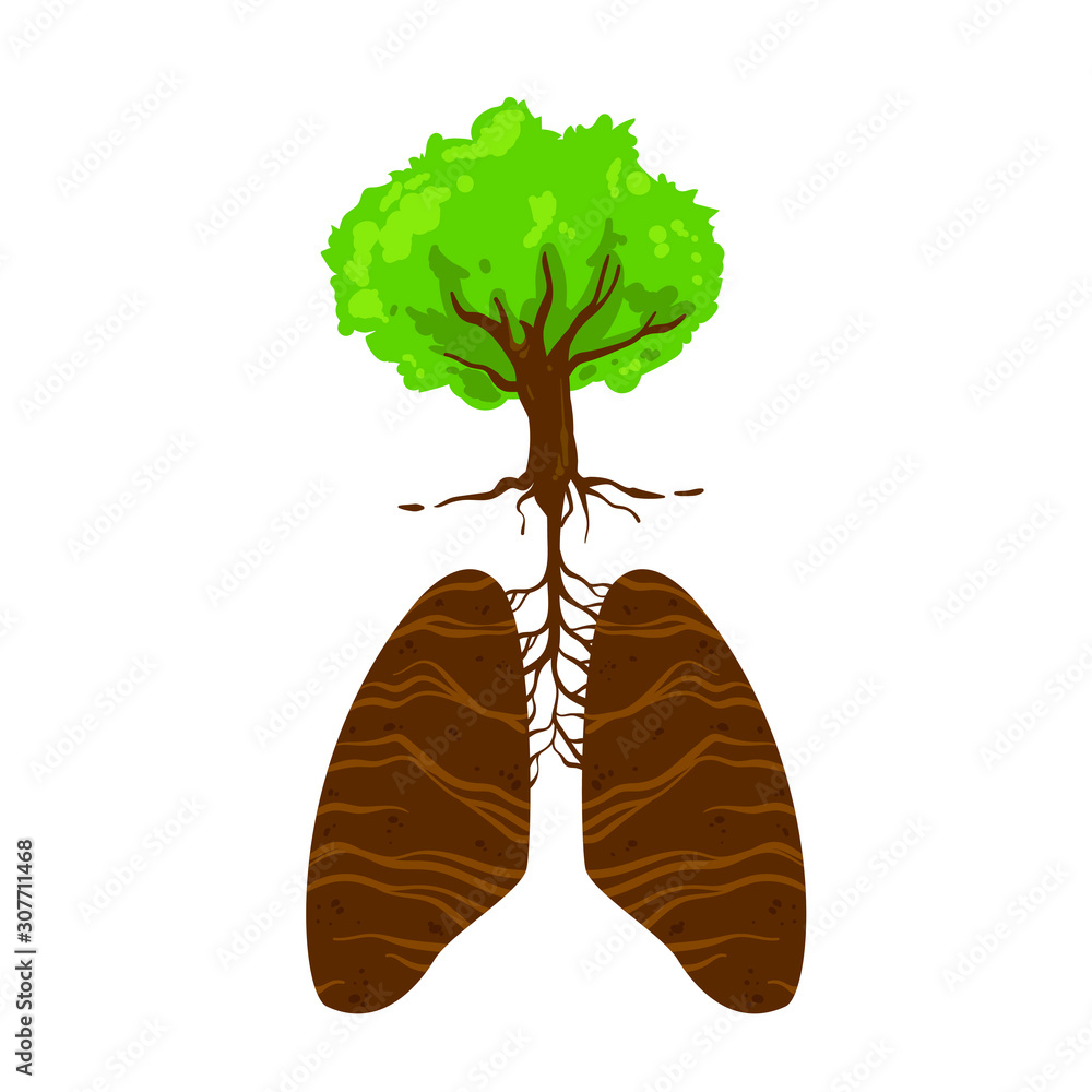Vector flat cartoon trees lungs of the planet, lungs of tree, vector ...