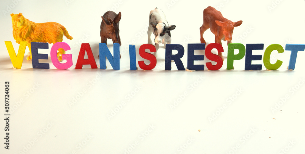 Group of toy animals on a white background with some colorful wooden ...