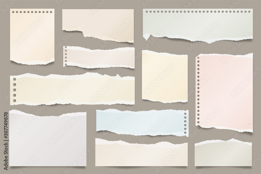 White ripped paper strips collection. Realistic paper scraps with torn ...