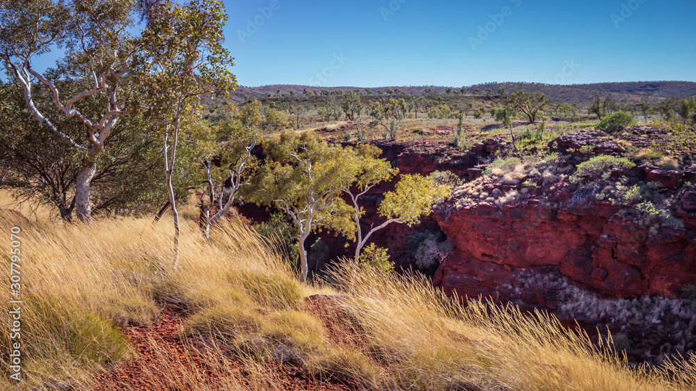 View of Weano Gorge from above on the walktrail to Junction Pool ...