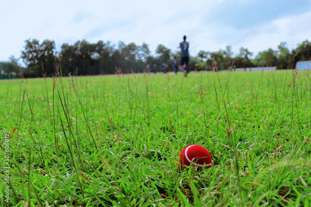 Red ball on grass in a cricket ground Stock Photo | Adobe Stock