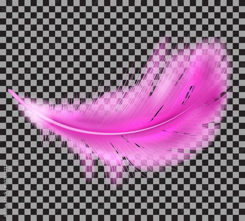 Vecteur Stock Color pink fluffy feather vector realistic isolated on ...