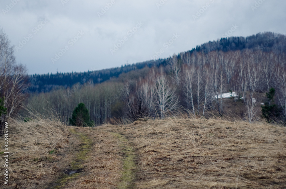 Dark autumn fall gloom dramatic landscape with country road path at ...