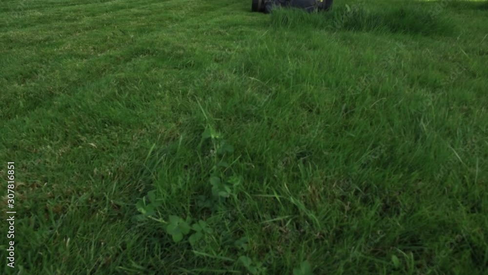 Young man cutting green grass using a petrol lawn mower in a garden ...