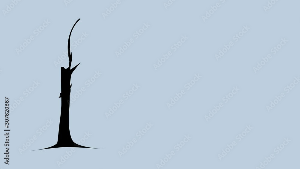 Self drawing tree animation on light blue background. Concept of nature ...