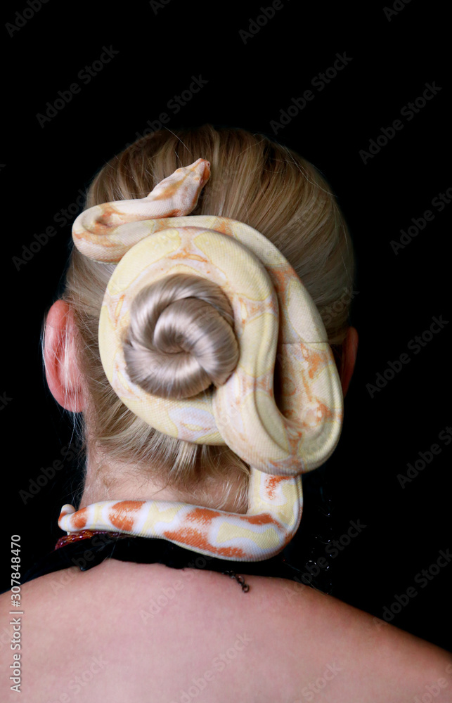 Snake on female head. Non poisonous Boa constrictor albino species of ...