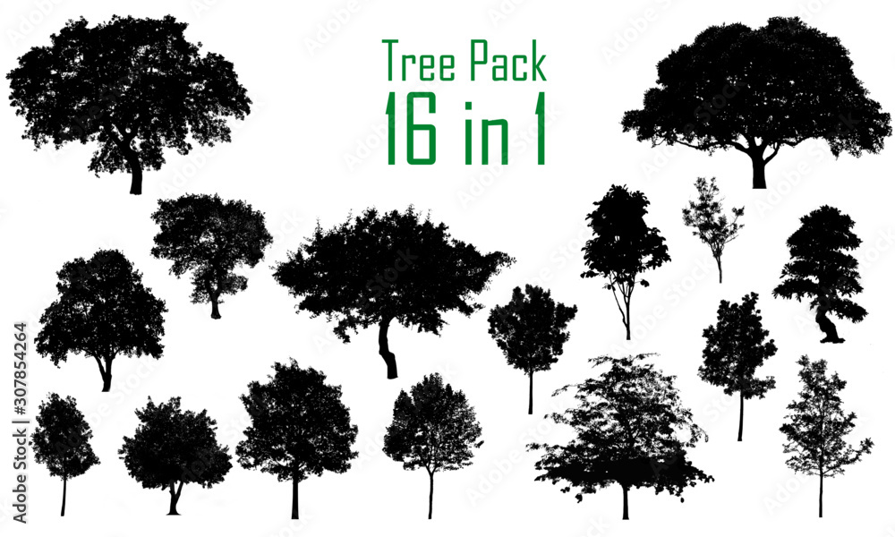 trees collection, 16 detailed, different tree vector Stock Vector ...