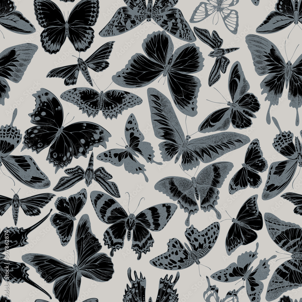 Seamless pattern with hand drawn stylized papilio ulysses, morpho ...