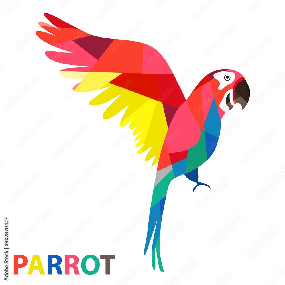 Colorful Parrot In The Wings