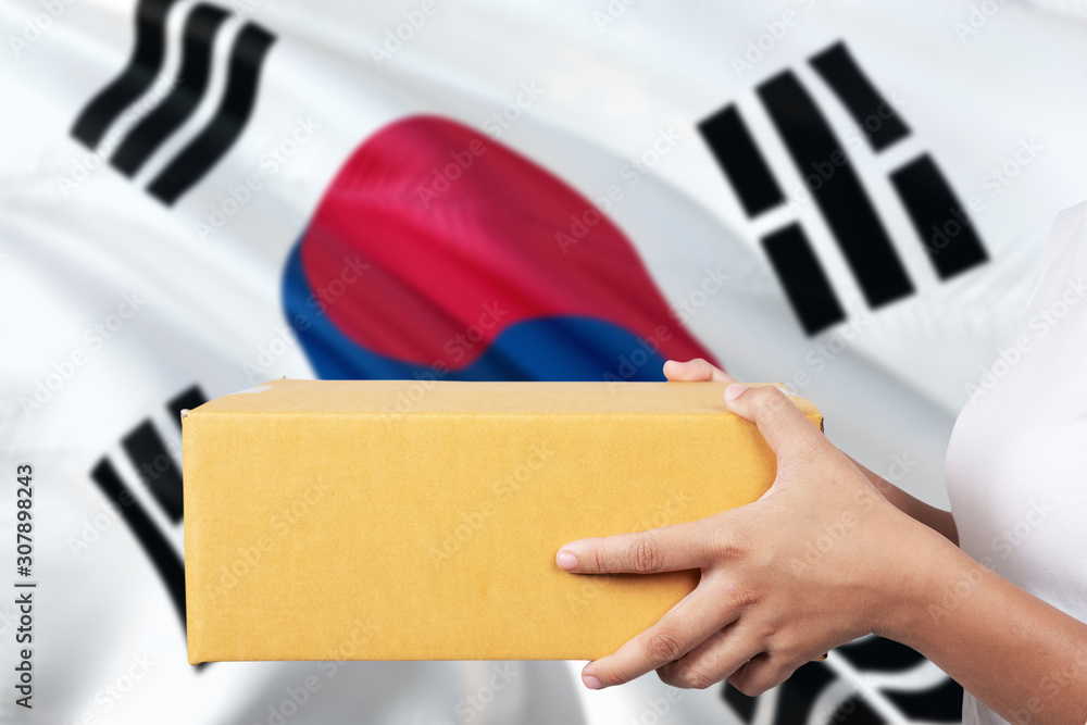 South Korea delivery service. International shipment theme. Woman ...