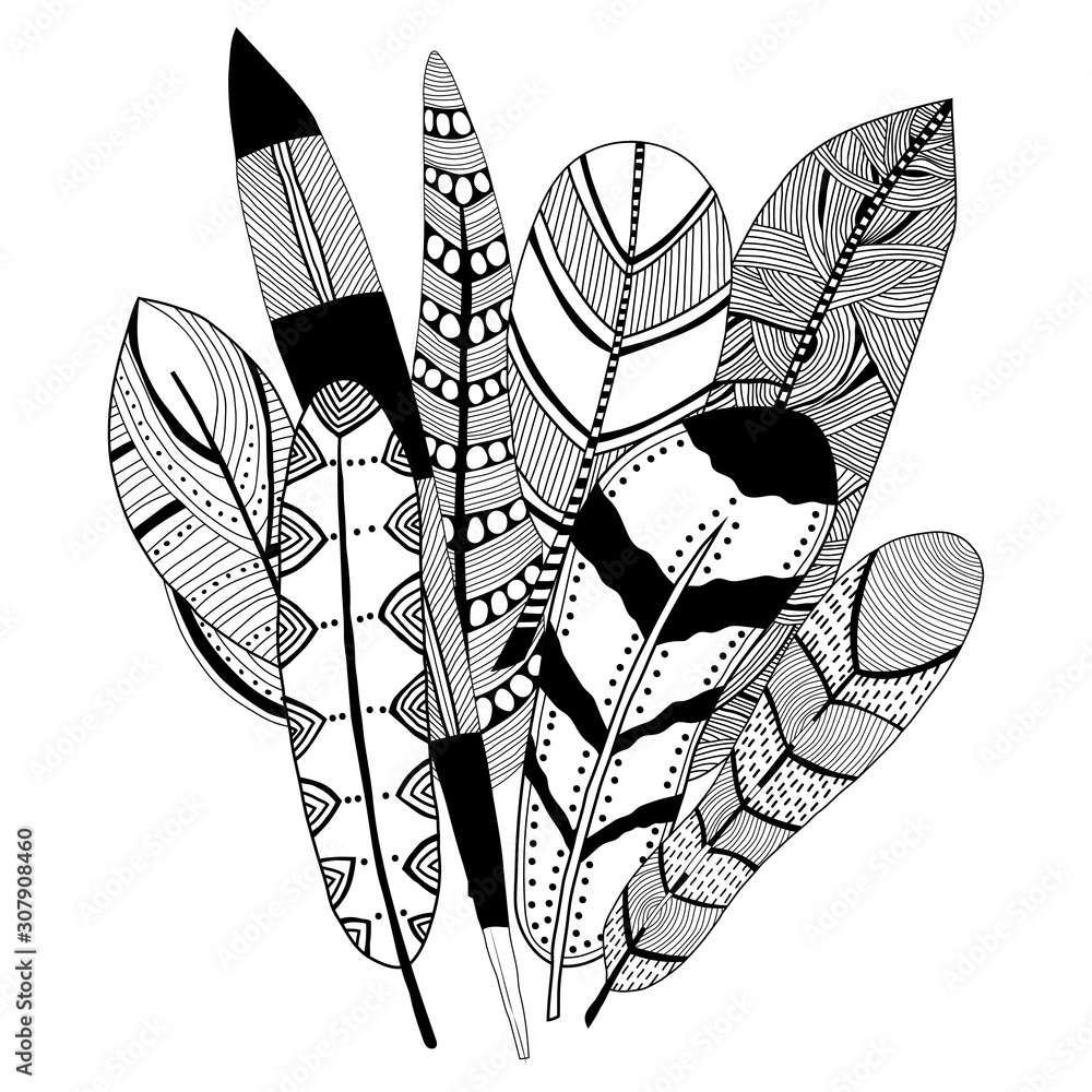 Decorative, ornate bird feathers. Black and white outline illustration ...