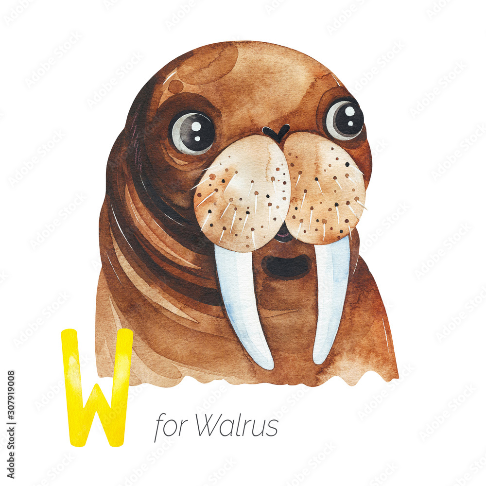 Watercolor Animals Alphabet.Learn letters with funny animals. Cute ...