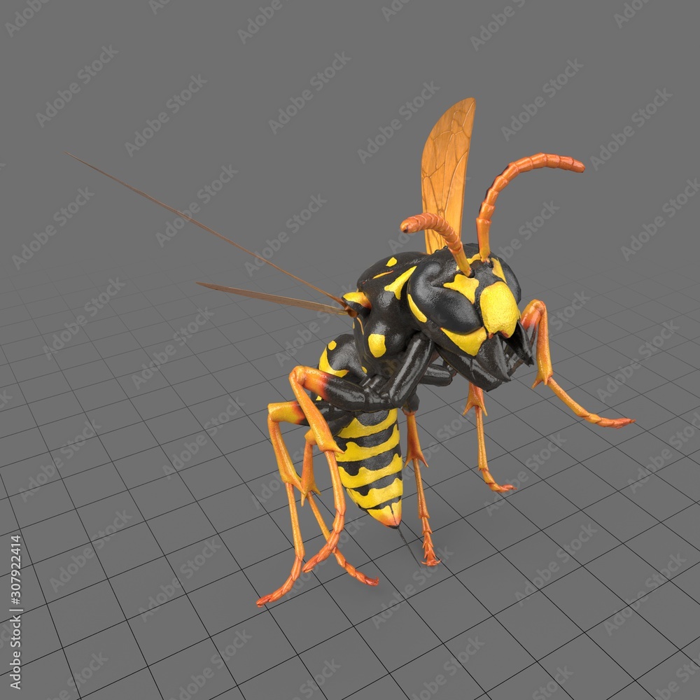 Paper wasp stinging Stock 3D asset | Adobe Stock