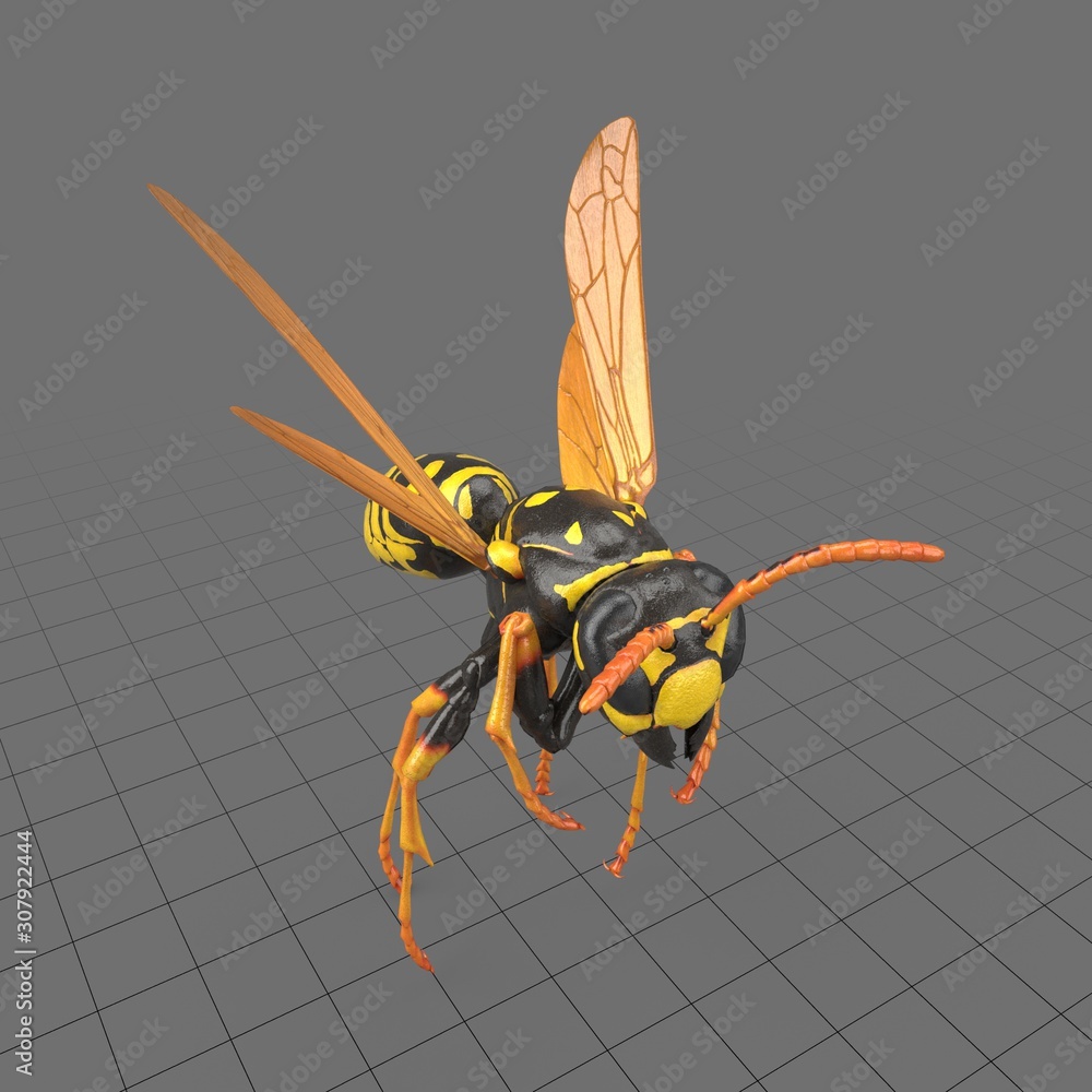 Paper wasp flying Stock 3D asset | Adobe Stock