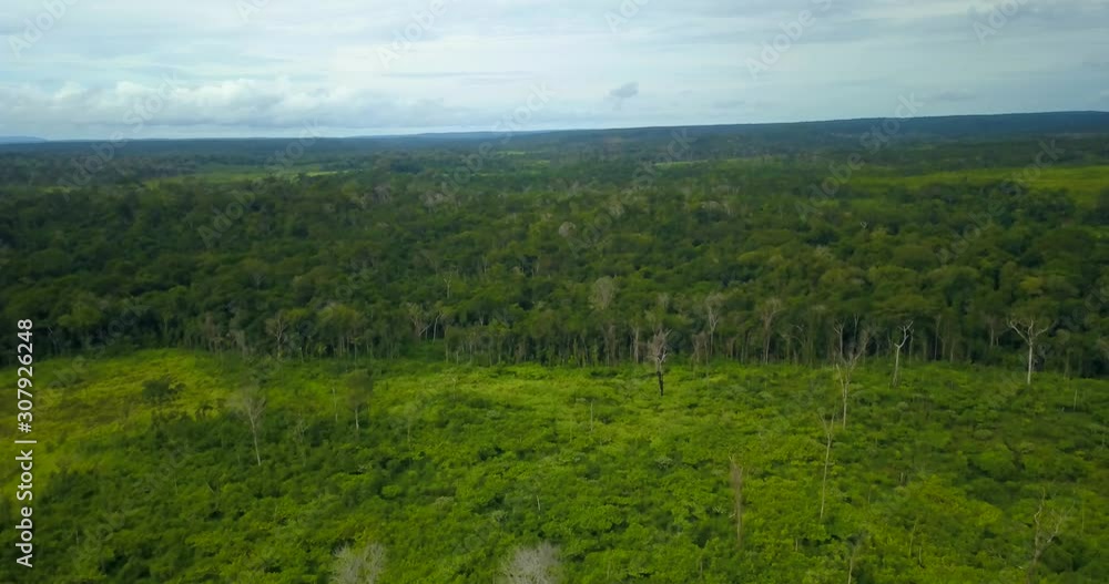 Land use change and deforestation are the main causes of loss of the ...