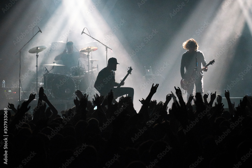 Concert shot, a huge crowd is standing in front of a lit stage clapping ...