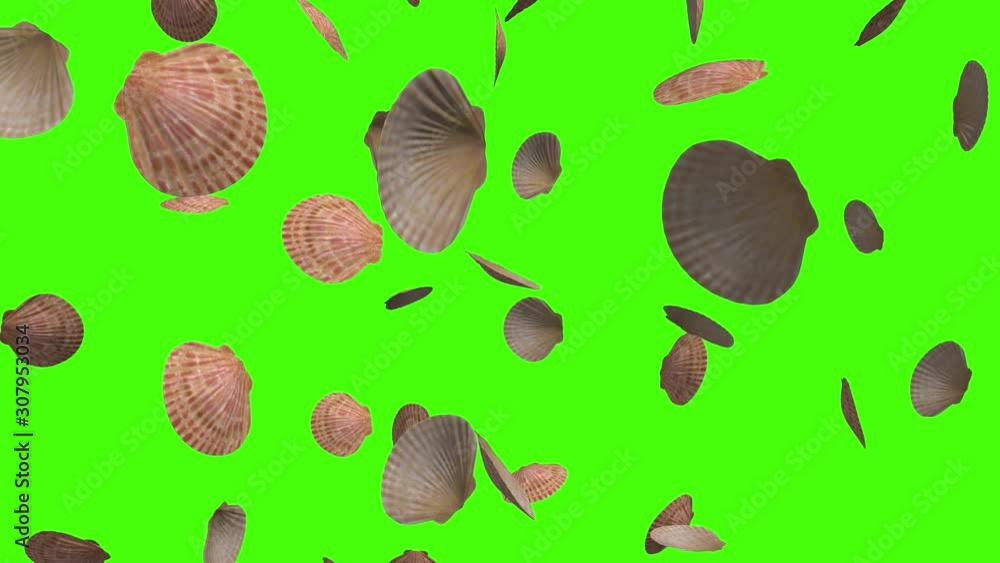 Rain of 3d seashells falling on green screen background. Scallops on ...
