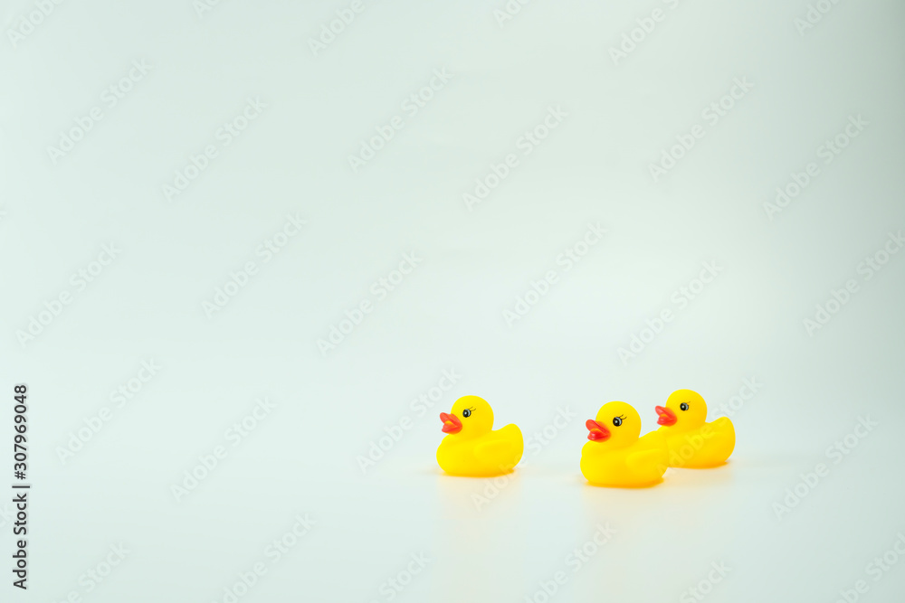Yellow duck isolated in white background. Stock Photo | Adobe Stock