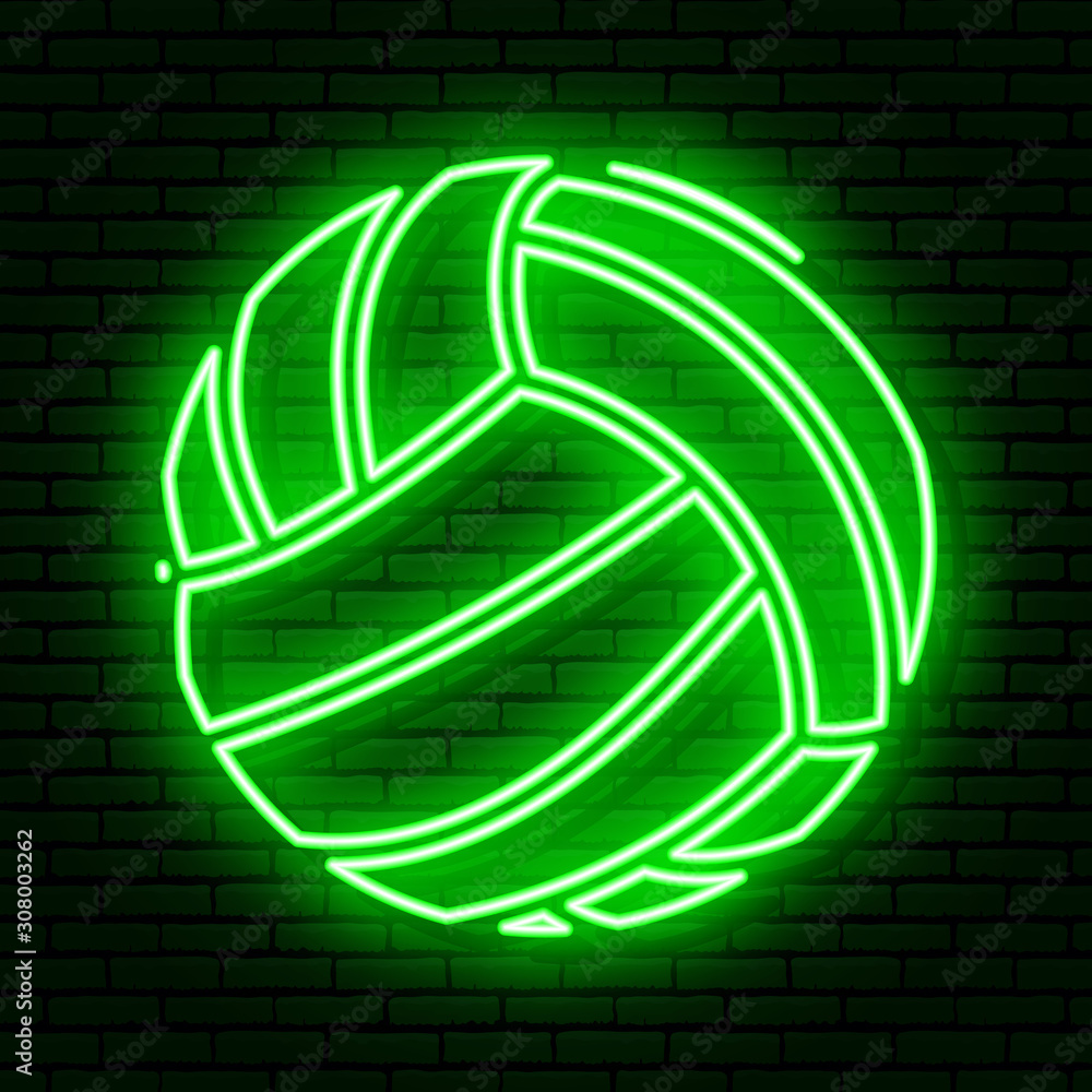 Neon Volleyball Ball