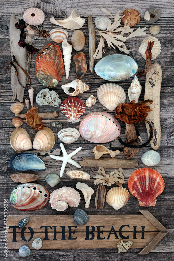 Seashell, driftwood, seaweed and pebble abstract collage on a rustic ...