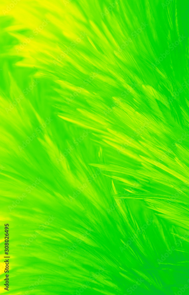 Light Lemon And Green Color