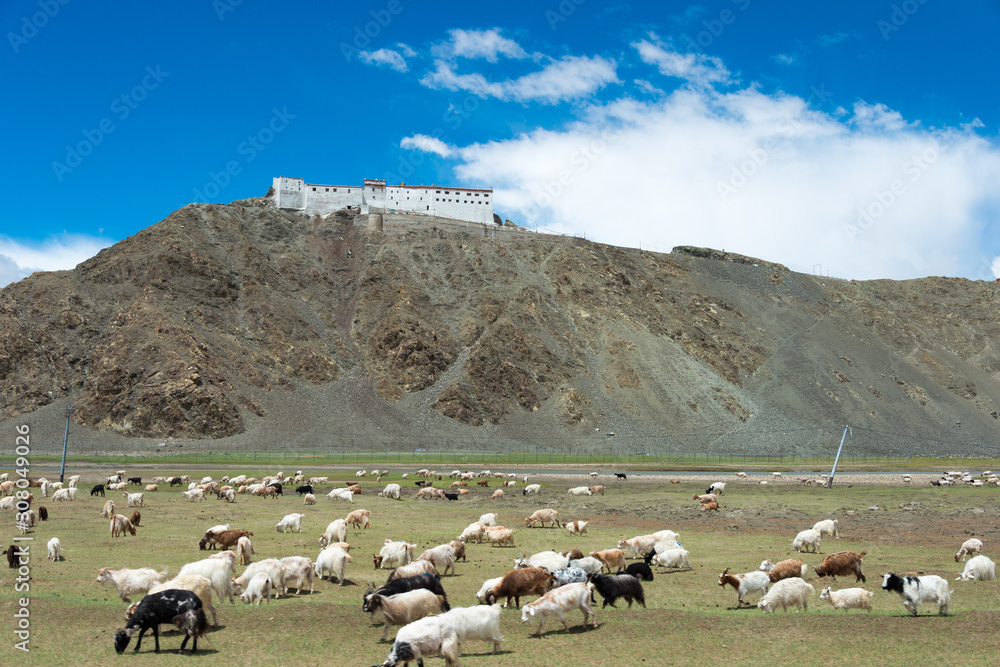 Ladakh, India - Jul 14 2019 - Hanle Monastery (Hanle Gompa) in Hanle ...