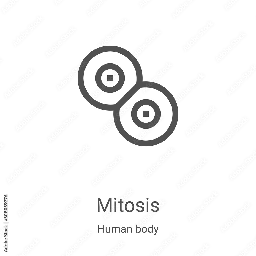 mitosis icon vector from human body collection. Thin line mitosis ...