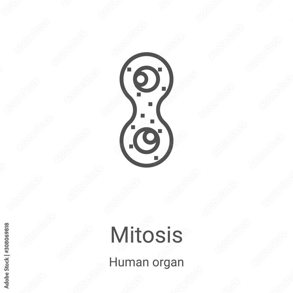 mitosis icon vector from human organ collection. Thin line mitosis ...