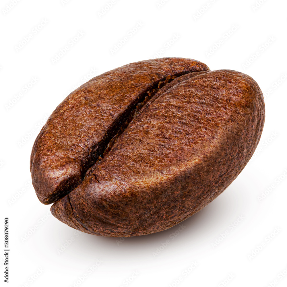 Single coffee bean isolated on white background Stock Photo | Adobe Stock
