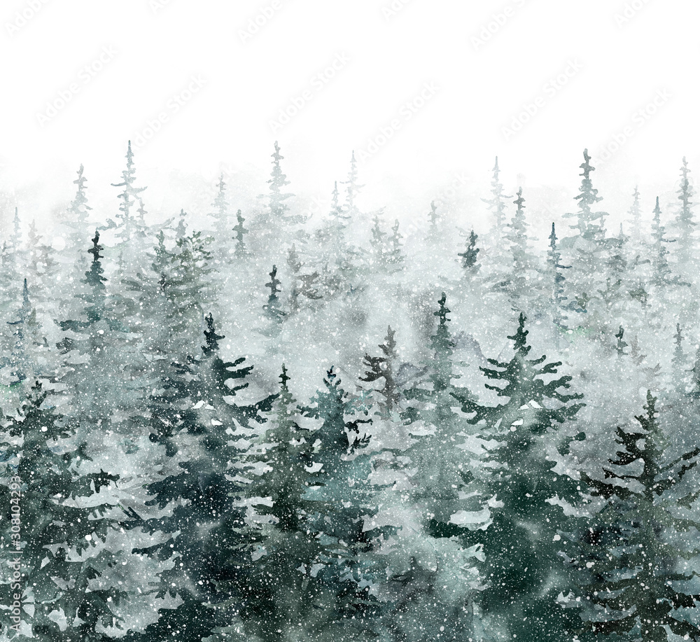 Watercolor winter pine tree forest background. Hand painted conifer ...